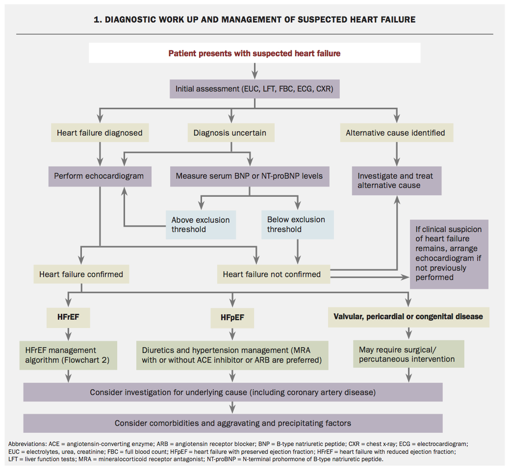 Diagnosis of heart failure | Medicine Today